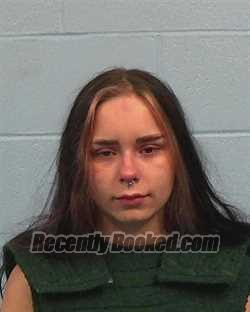 Recent Booking / Mugshot for Elisabeth Danielle Mckee in Williamson ...