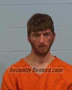 Recent Booking / Mugshot for Bradley Wayne Bogan in Williamson County ...