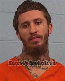Recent Booking / Mugshot for Christopher Robert Brown in Williamson ...