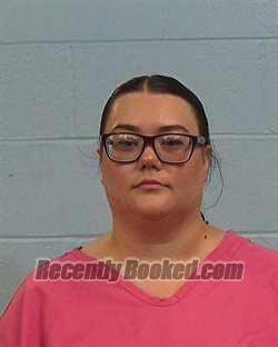 Recent Booking / Mugshot for Stephanie Lynne Romero in Williamson ...