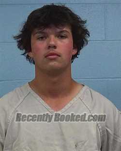 Recent Booking / Mugshot for Matthew Allen Fletcher in Williamson ...