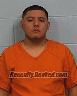 Recent Booking / Mugshot for Roman Cruz Flores in Williamson County, Texas