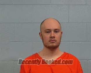 Recent Booking / Mugshot for Nathaniel Robert Elliott in Williamson ...