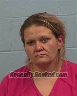 Recent Booking / Mugshot for Christina Shell in Williamson County, Texas