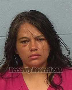 Recent Booking / Mugshot for Rosa Tancredi in Williamson County, Texas