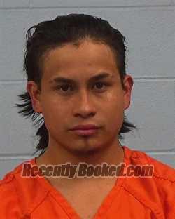 Recent Booking / Mugshot for Francis Abel Reyes Perez in Williamson ...