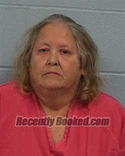 Recent Booking / Mugshot for Lisa Sue Boyington in Williamson County, Texas