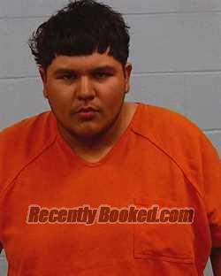 Recent Booking / Mugshot for Salomon Cruz Albarran in Williamson County ...