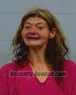 Amber Danielle Coburn Arrest Record & Booking Info – Williamson County ...