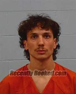 Recent Booking / Mugshot for Grayson James Rutherford in Williamson ...