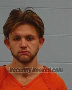 Recent Booking / Mugshot for Dalton Ray Sullivan in Williamson County ...