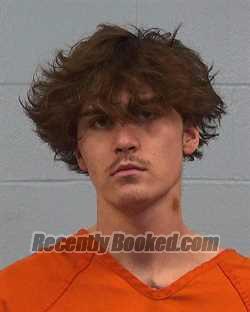 Recent Booking / Mugshot for Ian Kelly Thomas Bease in Williamson ...