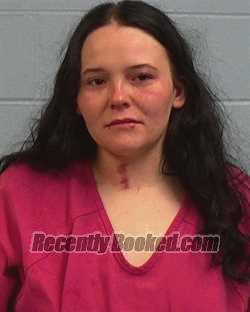 Recent Booking / Mugshot for Alanta Louise Genn in Williamson County, Texas