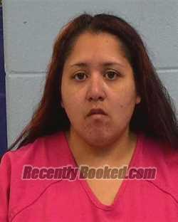 Recent Booking / Mugshot for Daniela Hernandez in Williamson County, Texas