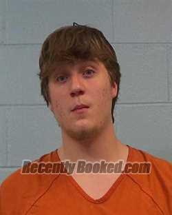 Recent Booking / Mugshot for Chase Christopher Shaffer in Williamson ...