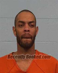 Recent Booking / Mugshot for Reisis Fernandez-Reyes in Williamson ...