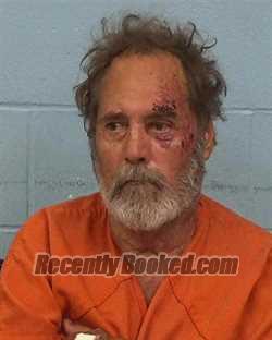 Recent Booking / Mugshot for Frederick Bruce Johnson in Williamson ...