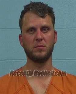 Recent Booking / Mugshot for David Henry Lewis Linscott in Williamson ...