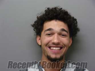 Recent Booking / Mugshot for NOAH JOHN PETREE in Wise County, Texas