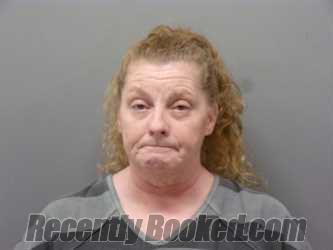 Recent Booking / Mugshot for CAROL ANN CASTLEBERRY in Wise County, Texas