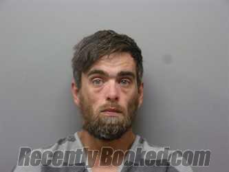 Recent Booking / Mugshot for MICHAEL ALLEN HARLOW in Wise County, Texas