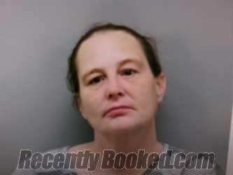 Recent Booking / Mugshot for LISA MARIE REYES in Wise County, Texas