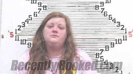 Recent Booking / Mugshot for Ashley Elizabeth Wilson in Brown County ...