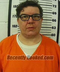 Recent Booking / Mugshot for Seth Robert Collins in Cherokee County, Kansas