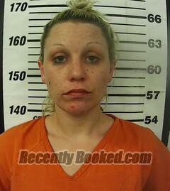 Recent Booking / Mugshot for Brittany Nicole Rawlins in Cherokee County ...