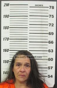 Recent Booking / Mugshot for Patricia Michelle Hatch in Cherokee County ...
