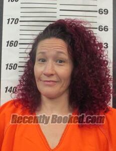 Recent Booking / Mugshot for Andria Kristen Richardson in Cherokee ...