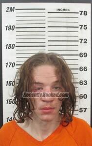 Recent Booking / Mugshot for Braiden Lucas Barton in Cherokee County ...