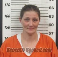 Recent Booking / Mugshot for Kiley Beth Burr in Cherokee County, Kansas