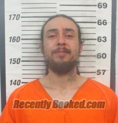 Recent Booking / Mugshot for Brandon Tyler Blaine in Cherokee County ...