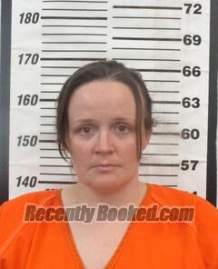 Recent Booking / Mugshot for Kristin Hope Fleischmann in Cherokee ...
