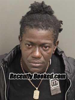 Recent Booking / Mugshot for APRIL L JOHNSON in Orange County, Florida