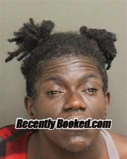 Recent Booking / Mugshot for APRIL L JOHNSON in Orange County, Florida