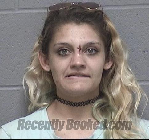 Recent Booking / Mugshot for DANIELLE JOLENE ALLEN in Crawford County ...