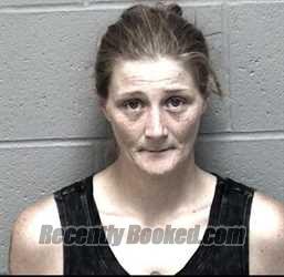 Recent Booking / Mugshot for KILEY BETH BURR in Crawford County, Kansas