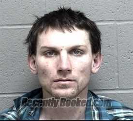 Recent Booking / Mugshot for ANTHONY CURTIS HOAG in Crawford County, Kansas