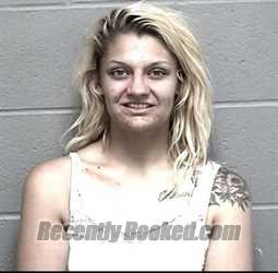 Recent Booking / Mugshot for DANIELLE JOLENE ALLEN in Crawford County ...