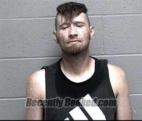 Recent Booking / Mugshot for JAMES JOSEPH MCLEES in Crawford County, Kansas
