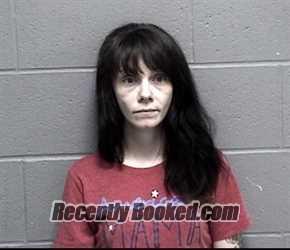 Recent Booking / Mugshot for LANEY ELIZABETH POWELL in Crawford County ...