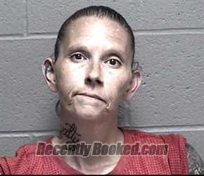 Recent Booking / Mugshot for VANESSA MICHELLE MASTERSON in Crawford ...