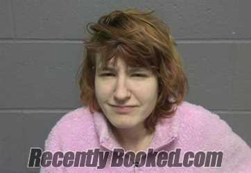 Recent Booking / Mugshot for HANNA MARIE HIGHTOWER in Crawford County ...