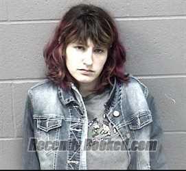 Recent Booking / Mugshot for HANNA MARIE HIGHTOWER in Crawford County ...