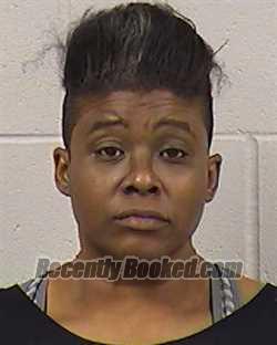 Recent Booking / Mugshot for ALEXANDRIA DIANE RANSOM in Dickinson ...