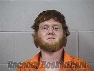 Recent Booking / Mugshot for CHRISTOPHER LEE SMITH in Dickinson County ...