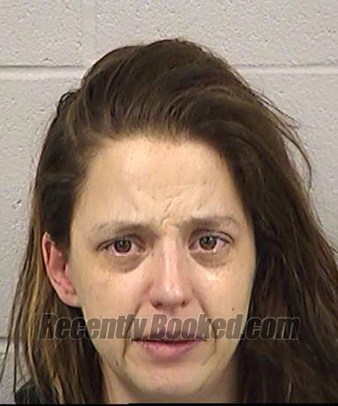 Recent Booking / Mugshot for FALLAN KATHLEEN PERKINS in Dickinson ...