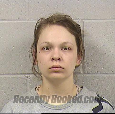 Recent Booking / Mugshot for HALEY MICHELLE GLADDEN in Dickinson County ...